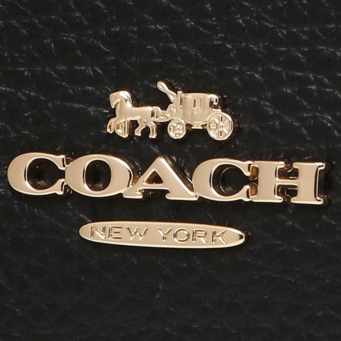 Coach Anna Foldover Clutch Crossbody Bag in Black 3037 – PinkOrchard.com